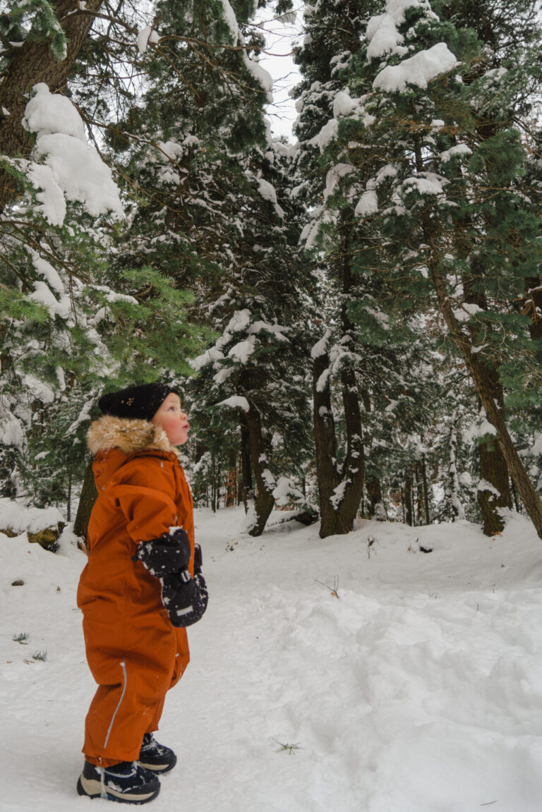 The Best Reima Winter Layers for Kids - Hailey Outside