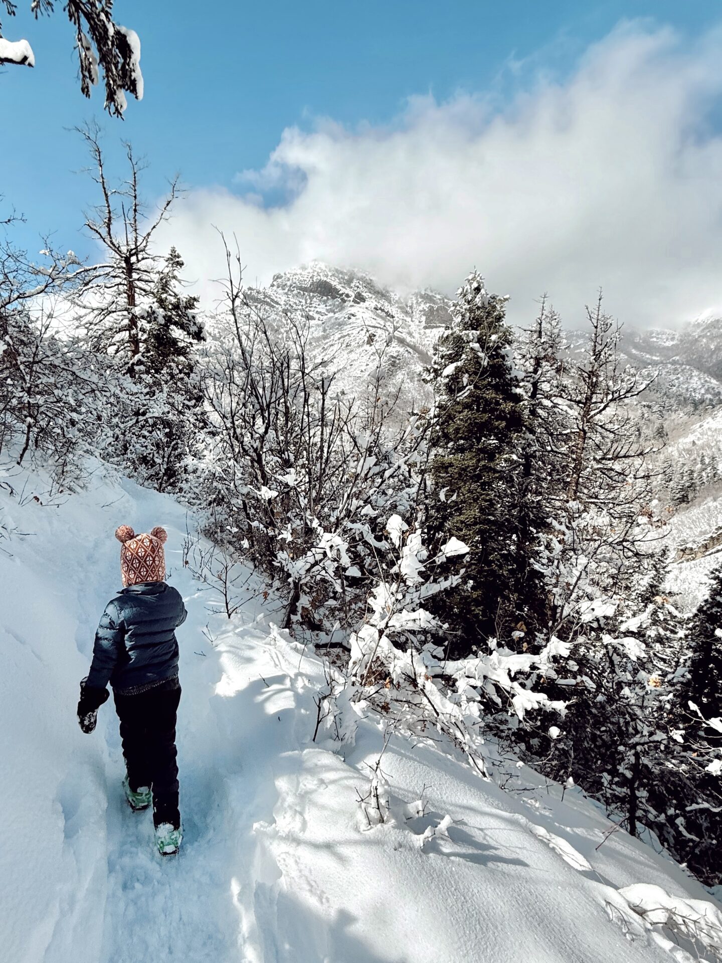 Do You Need Microspikes for Hiking? A Complete Guide to Microspikes ...