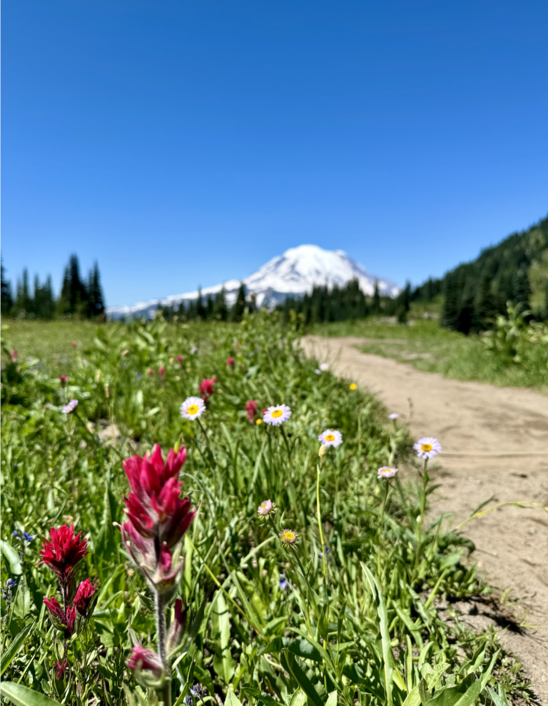 Best Hikes Near Seattle for Families | Ultimate Travel Guide - Hailey ...