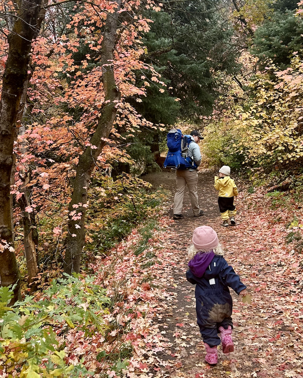 The Best Reima Fall Layers For Kids - Hailey Outside