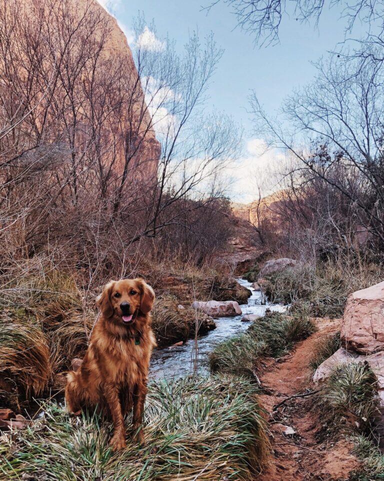 5 Epic Hikes in Moab, Utah | Your Ultimate travel guide - Hailey Outside